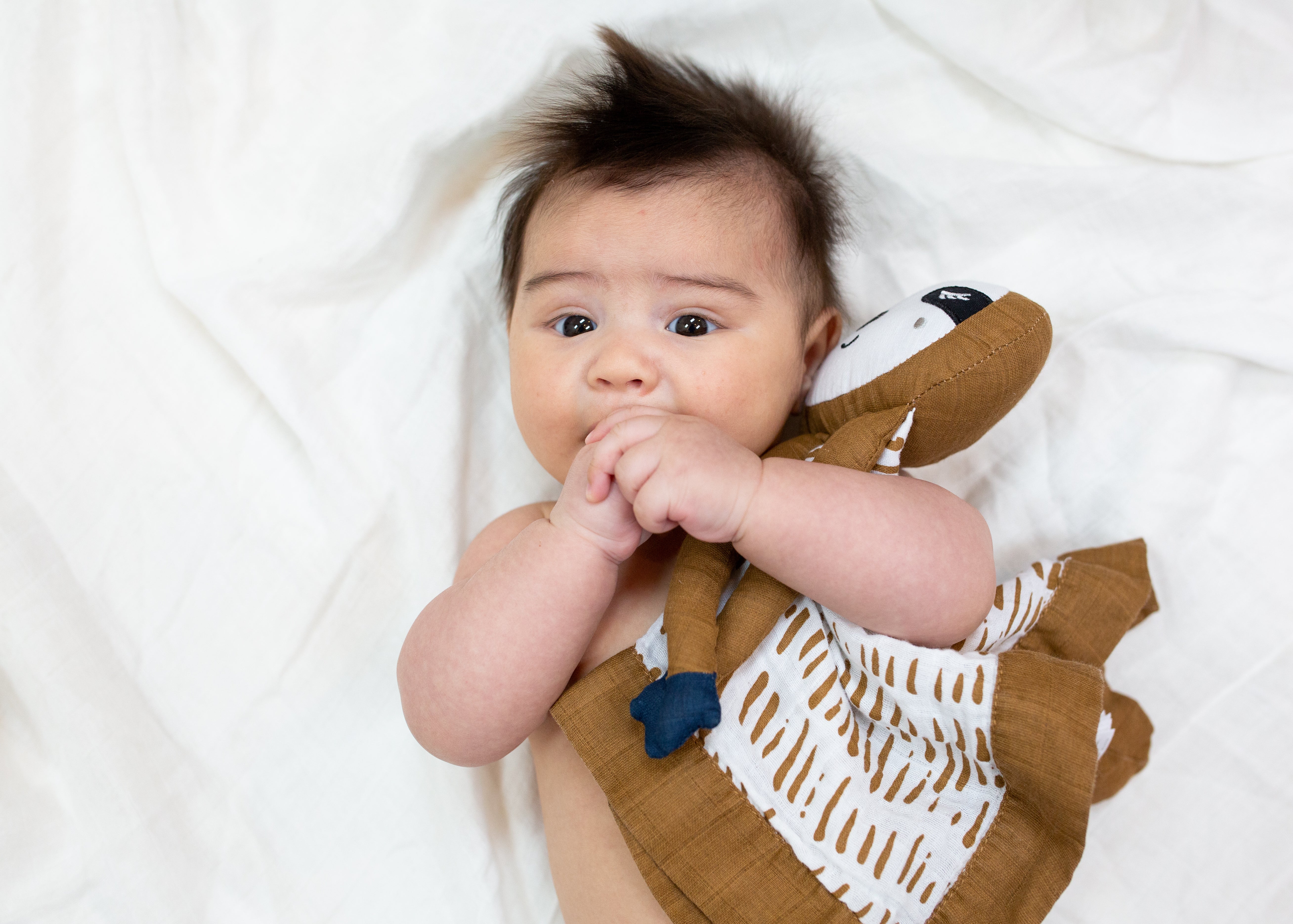 Lulujo - Cotton Muslin Lovie - Sloth – Myza