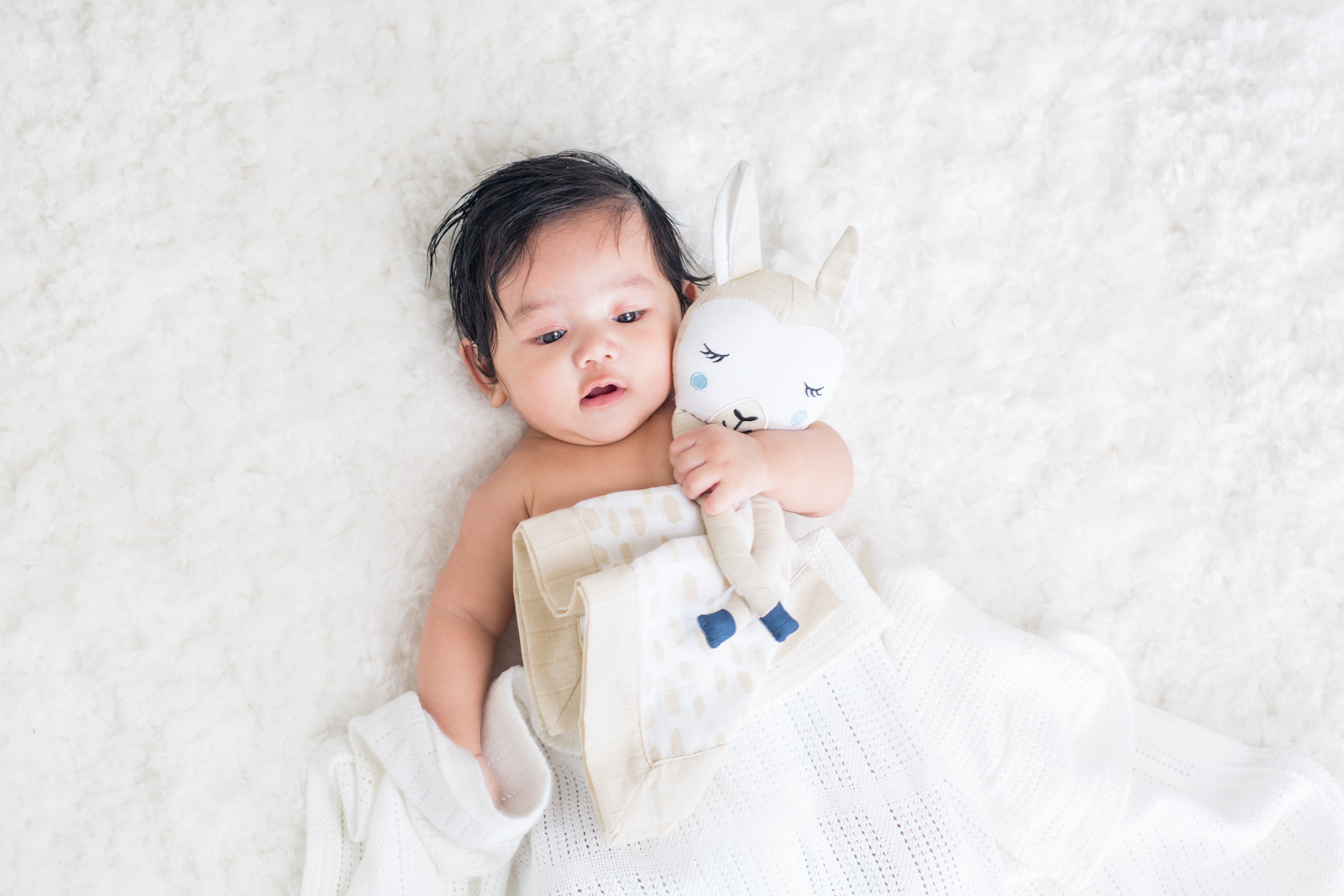Lulujo - Cotton Muslin Lovie - Llama – Myza