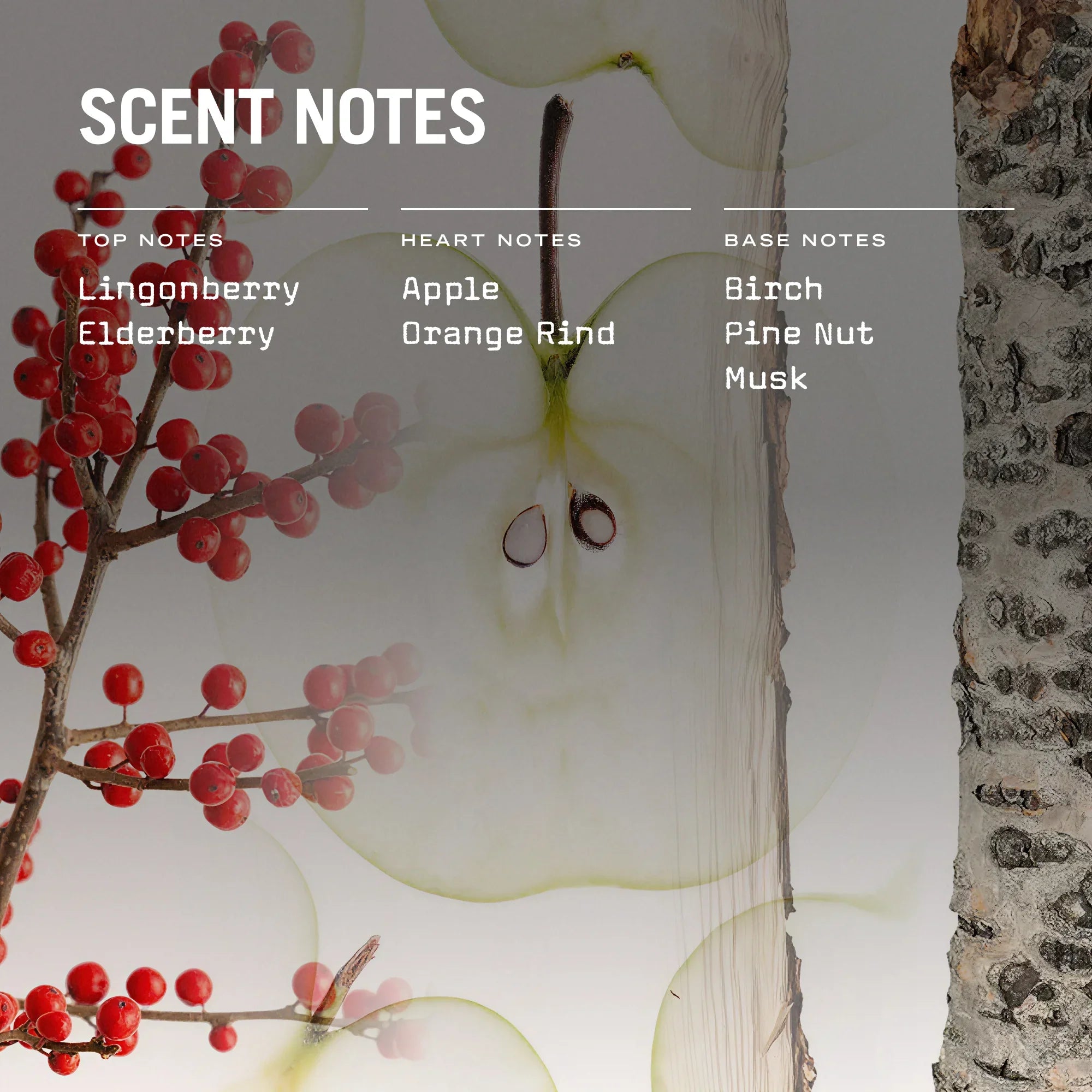 Lingonberry 100ml Reed Diffuser – Myza