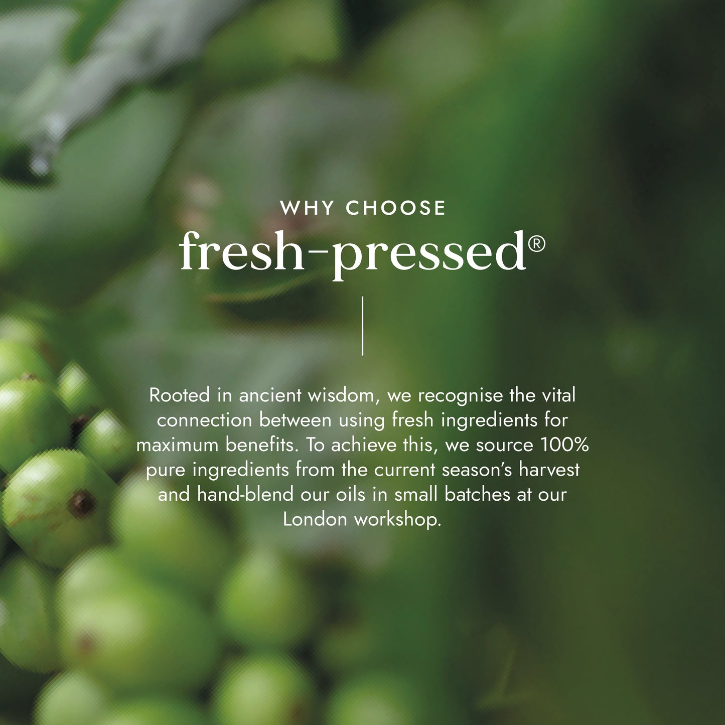 Holiday Ritual Kit – Myza