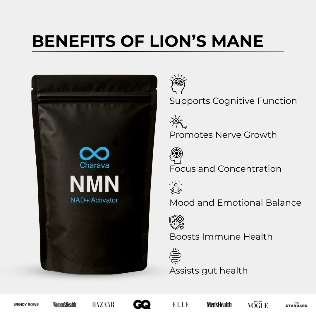 Lion's Mane Powder - 60 Grams - 30 Servings – Myza